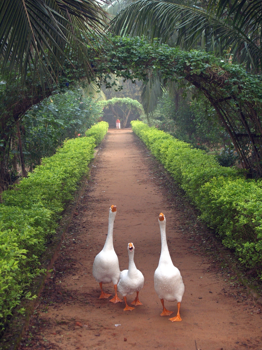 Snapshot Interview with past V/I President Dale Cole, OD – VOSH ...